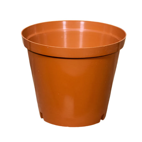 PLASTIC POT 10CM