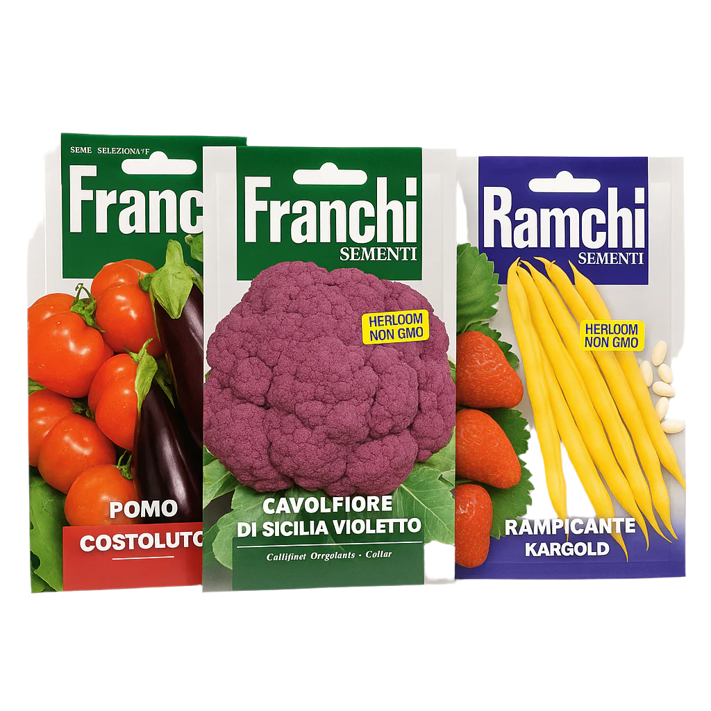 Seed Franchi